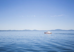 Home - Maine Offshore Wind Initiative